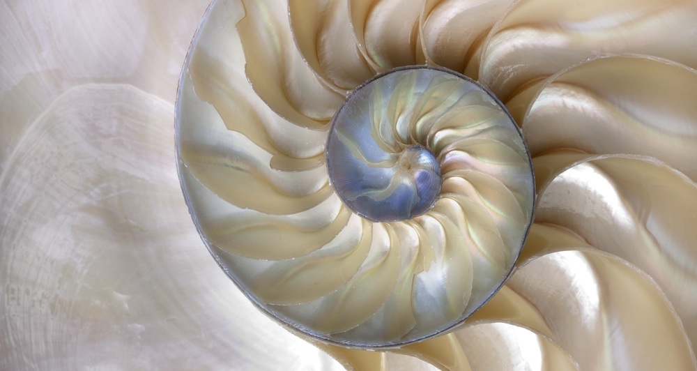 Growth Business - For Entrepreneurs and Fast-growth Businesses